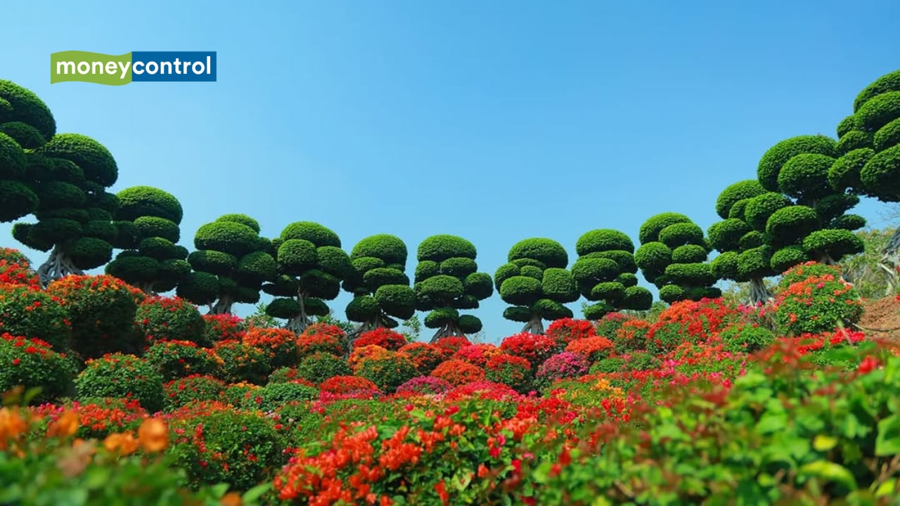 Inside Experium Eco Park: India’s Biggest Eco Wonderland Opens in ...