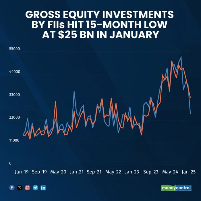 Gross equity investments by FIIs hit 15-month low at $25 bn in January