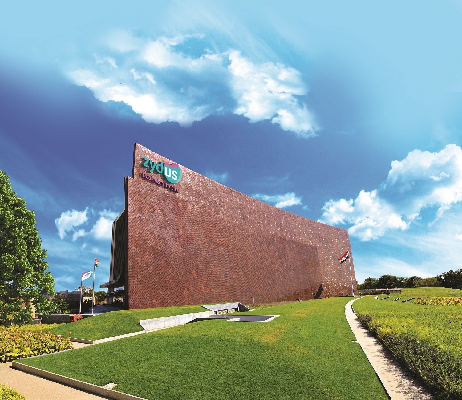 Zydus Life Q3 results: Net profit jumps 30% to Rs 1,023 crore, revenue ...