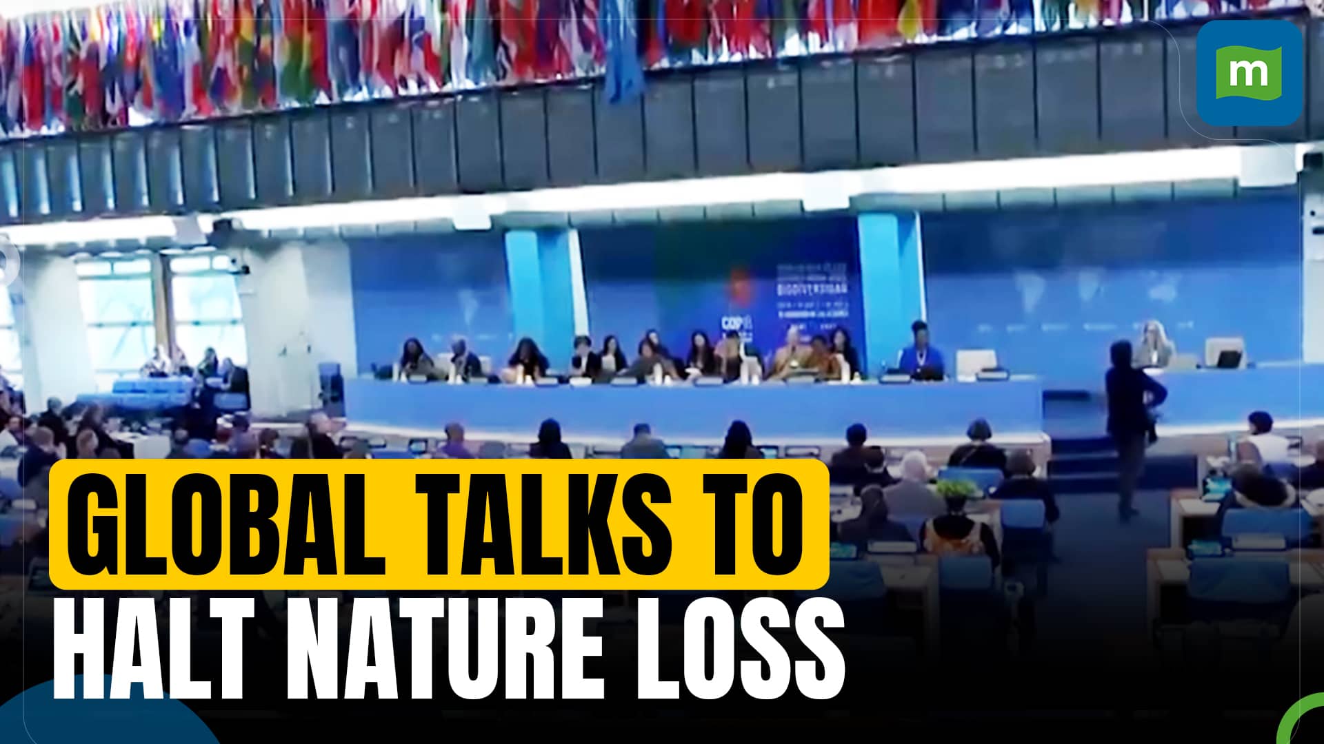 COP16: Biodiversity negotiations on the cards as nations meet in Rome ...
