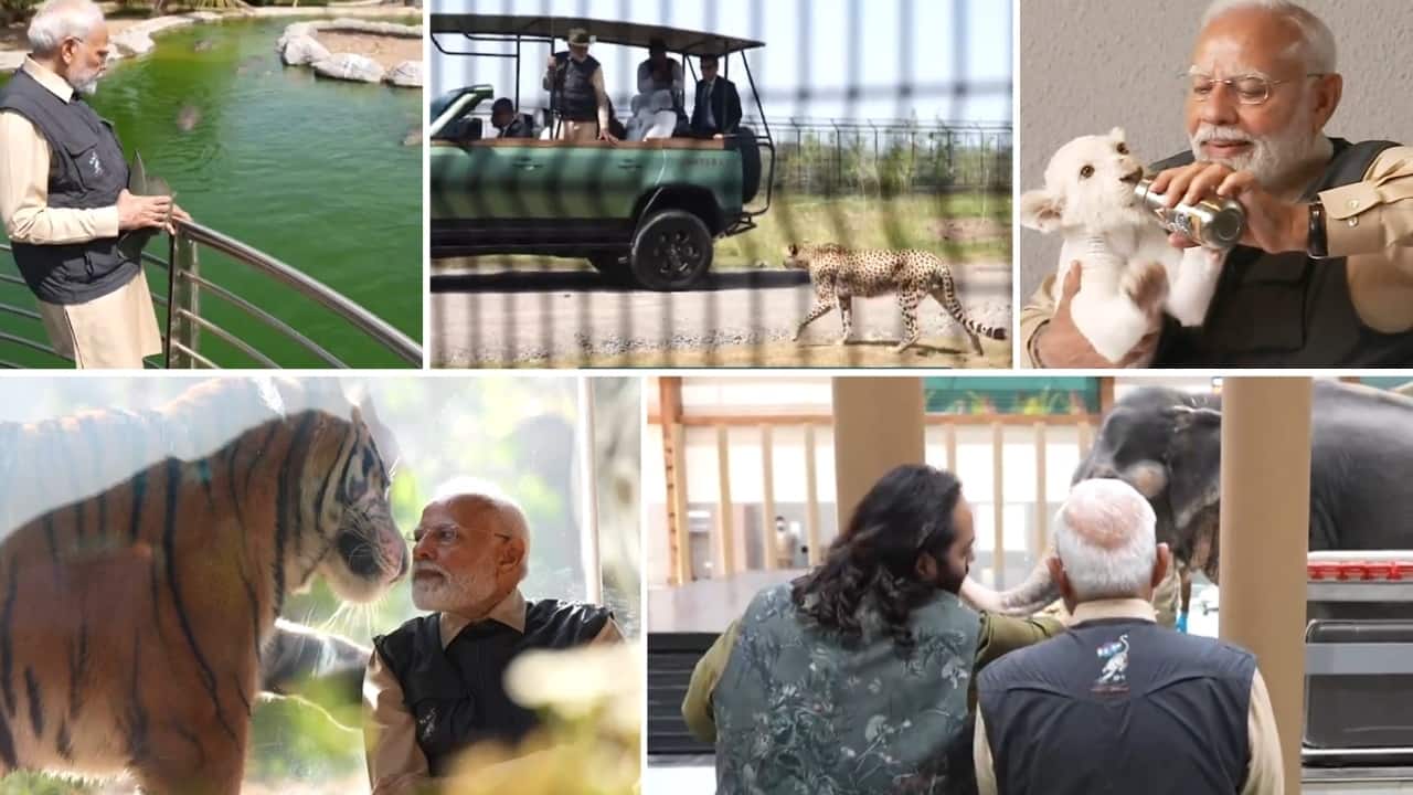 PM Modi inaugurates Vantara wildlife centre, commends Anant Ambani for ...