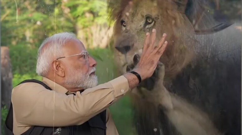 Watch: PM Modi's candid moments with wildlife at Vantara