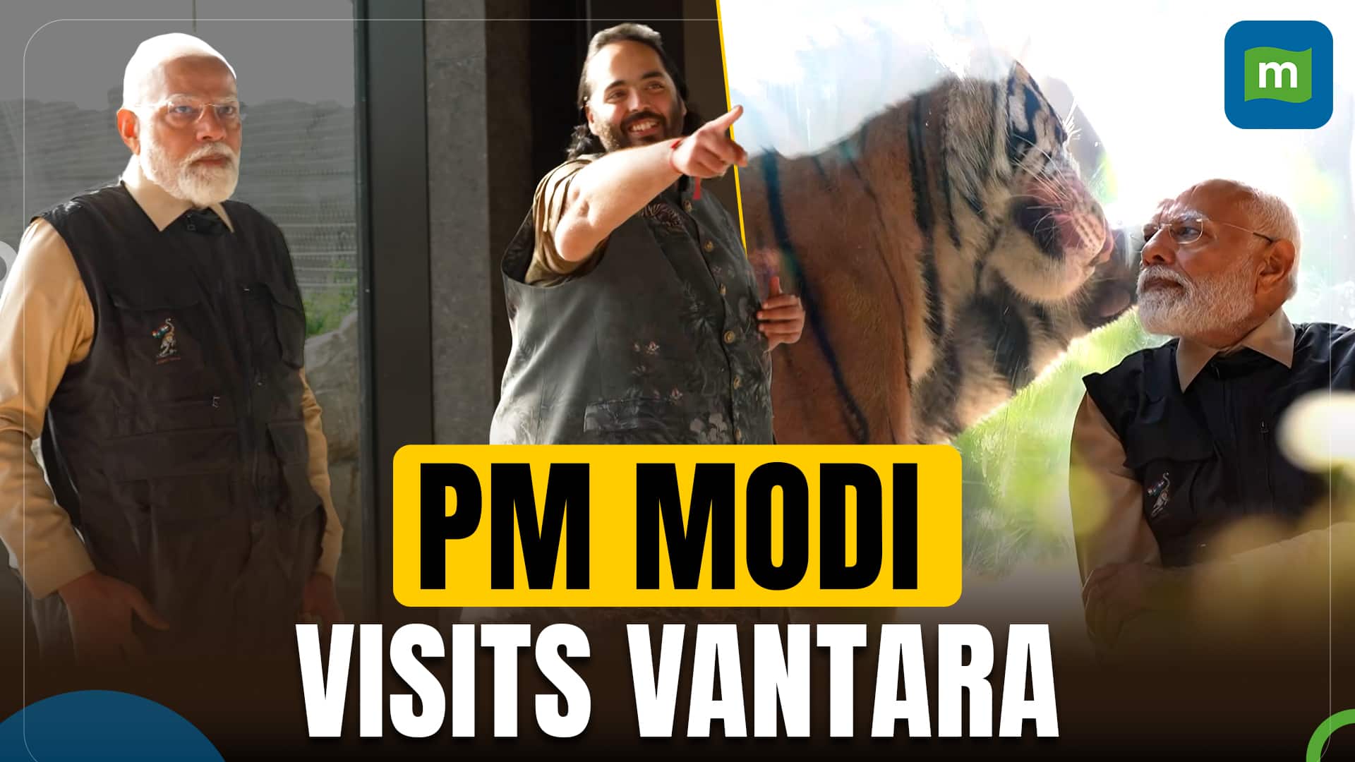 PM Modi Inaugurates Vantara Wildlife Centre in Gujarat, Explores Rescue ...