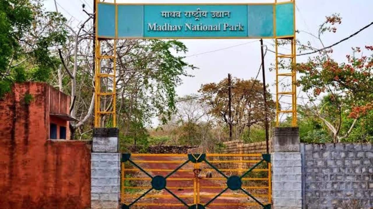 Madhav National Park Becomes India’s 58th Tiger Reserve – A New ...