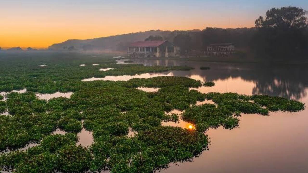 Madhav National Park Becomes India’s 58th Tiger Reserve – A New ...