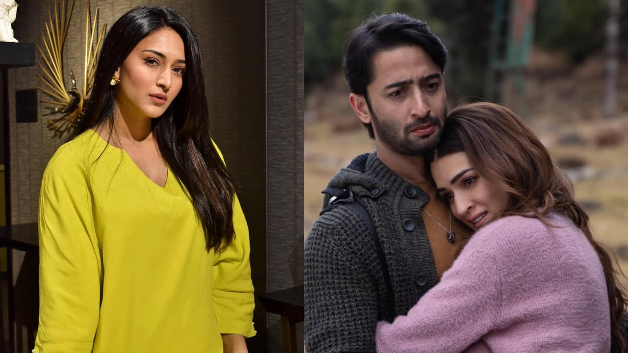 Erica Fernandes opens up about her past violent relationship, says, Shaheer's Do Patti "took me ...