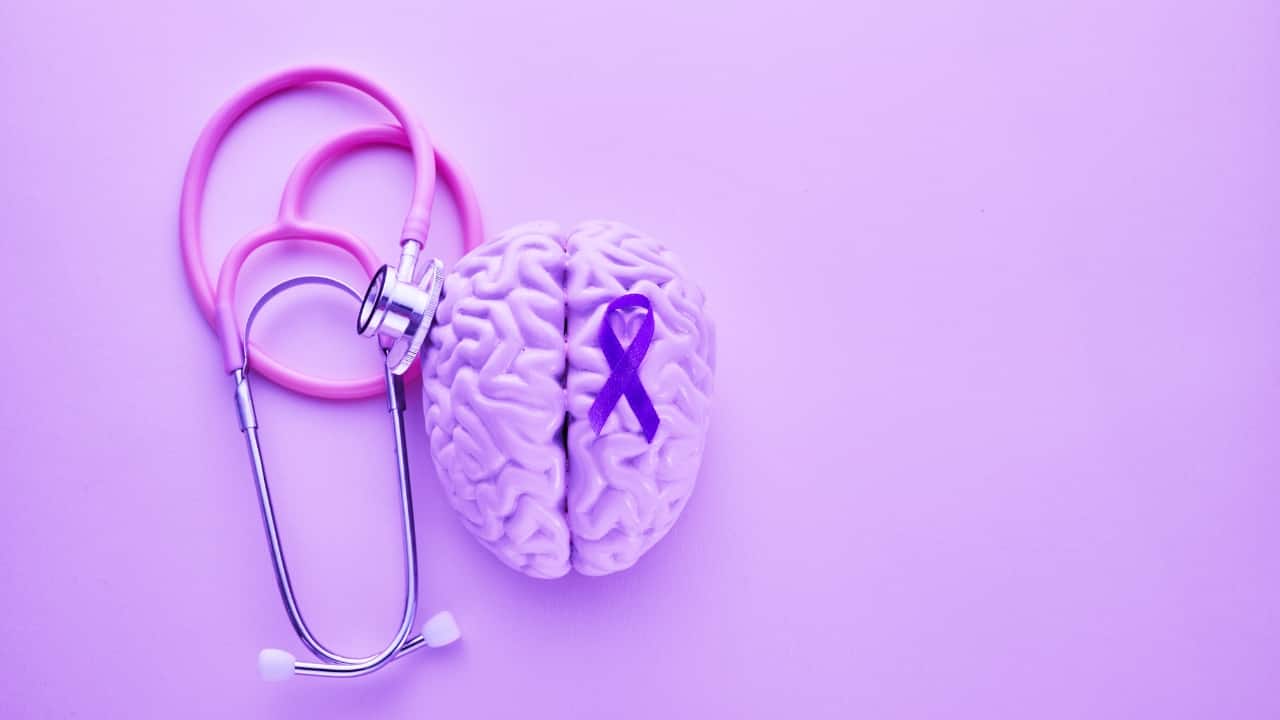 Purple Day 2025: Symptoms and causes of epilepsy, tips to prevent this ...