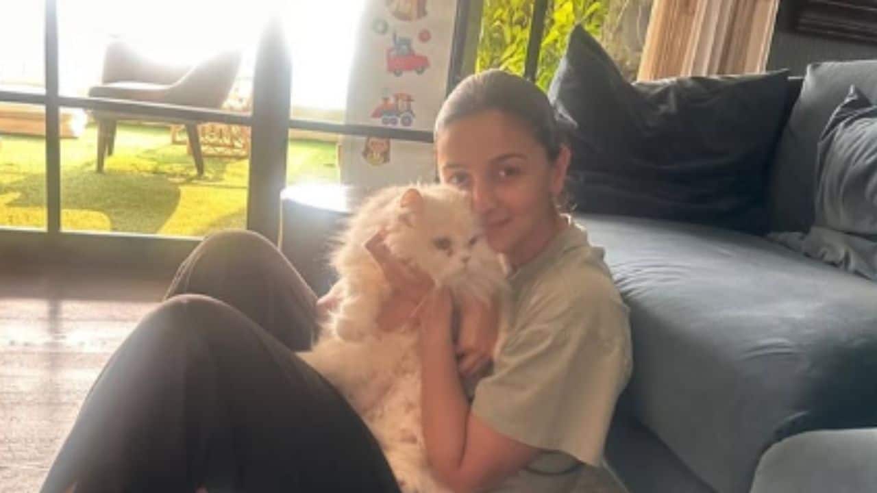 Alia Bhatt marks Pet Day with cat Edward, shares adorable pic taken by ...