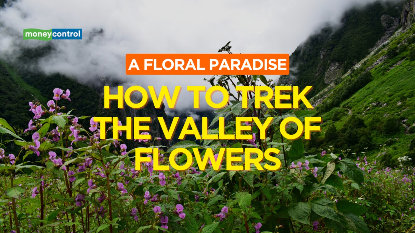 Valley Of Flowers National
