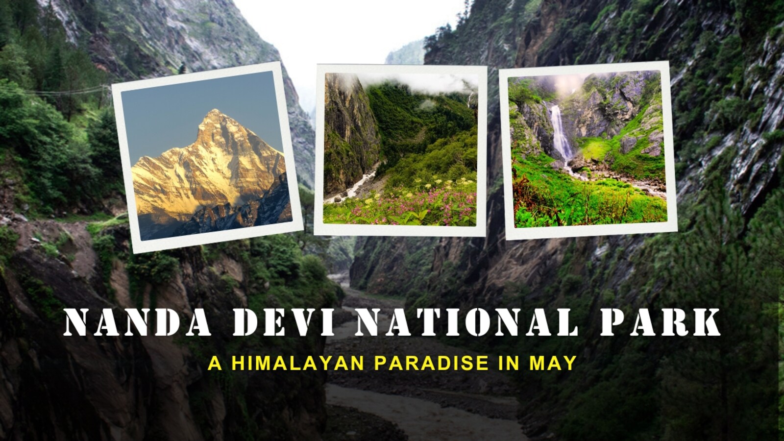 Parque Nacional Nanda Devi Uttarakhand