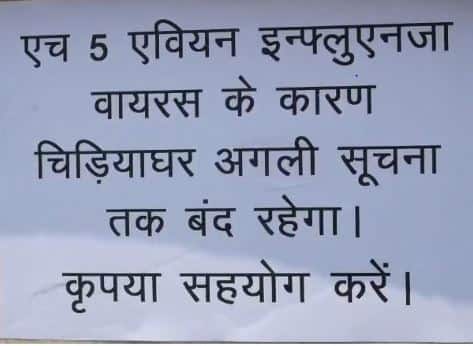 Tigress dies of bird flu in Gorakhpur; all UP zoos and Etawah lion ...