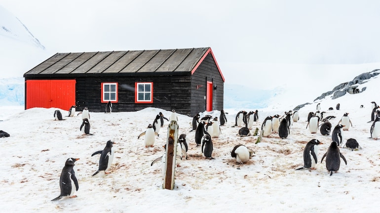 Inside the Penguin Post Office: Life at the World’s Most Remote Post ...