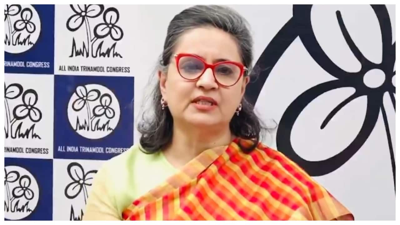 Modi's 'demographic mission' against illegal immigration rattles TMC ...