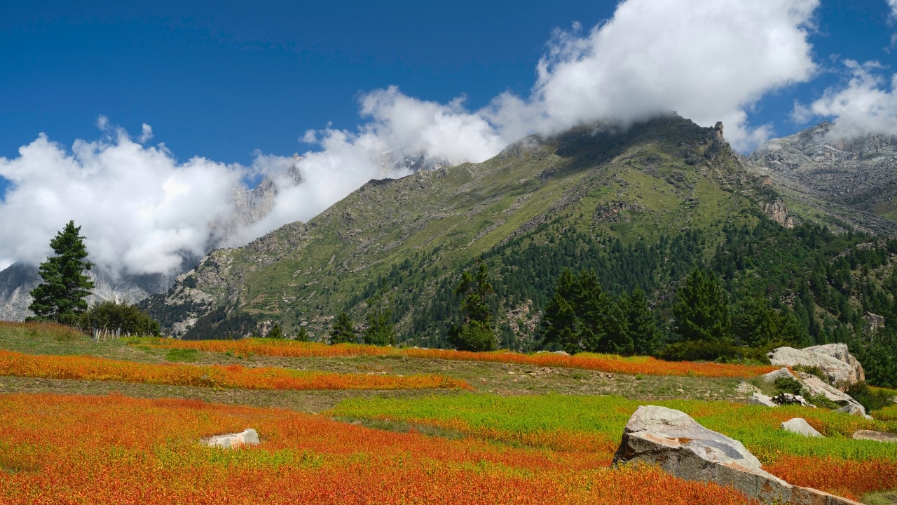 9 Hidden Himachal Pradesh Villages Worth Exploring Now