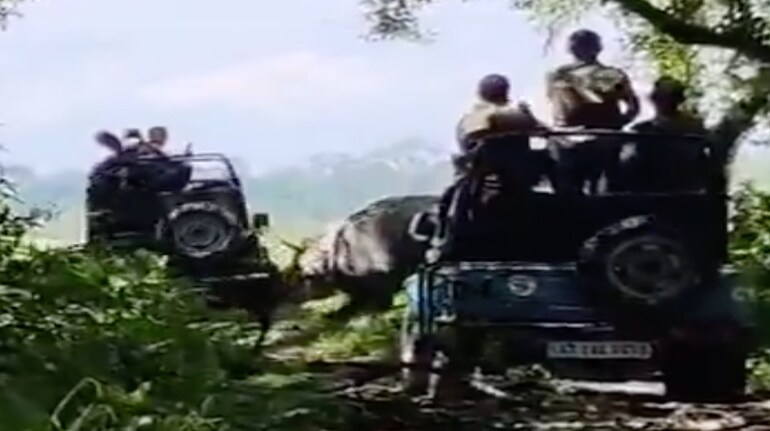 Watch: Rhino tries to flip tourist safari jeep at Assam’s Manas ...