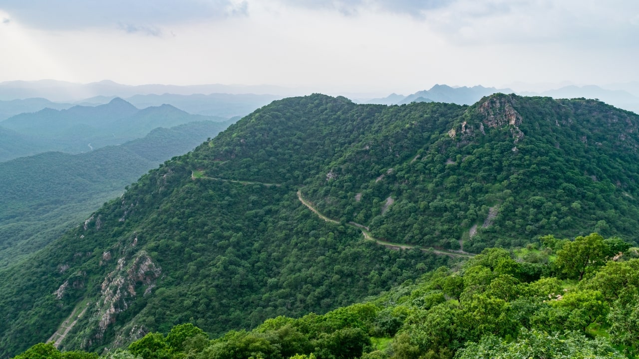 World Environment Day 2025: PM Modi Launches ‘Aravalli Green Wall ...
