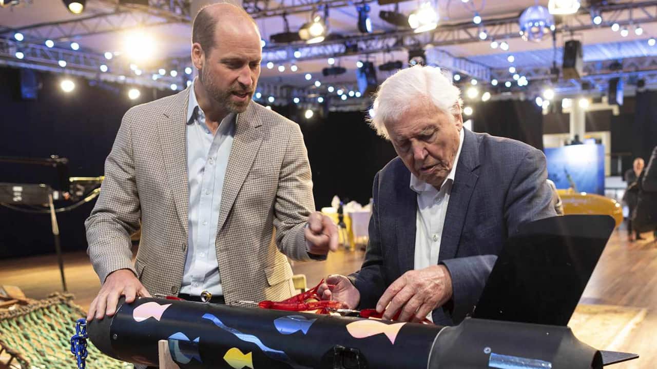 Prince William and biologist David Attenborough discuss role of ocean ...