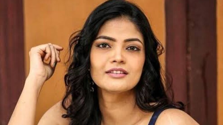 Kalpika Ganesh Case: Case booked against actress Kalpika Ganesh for ...