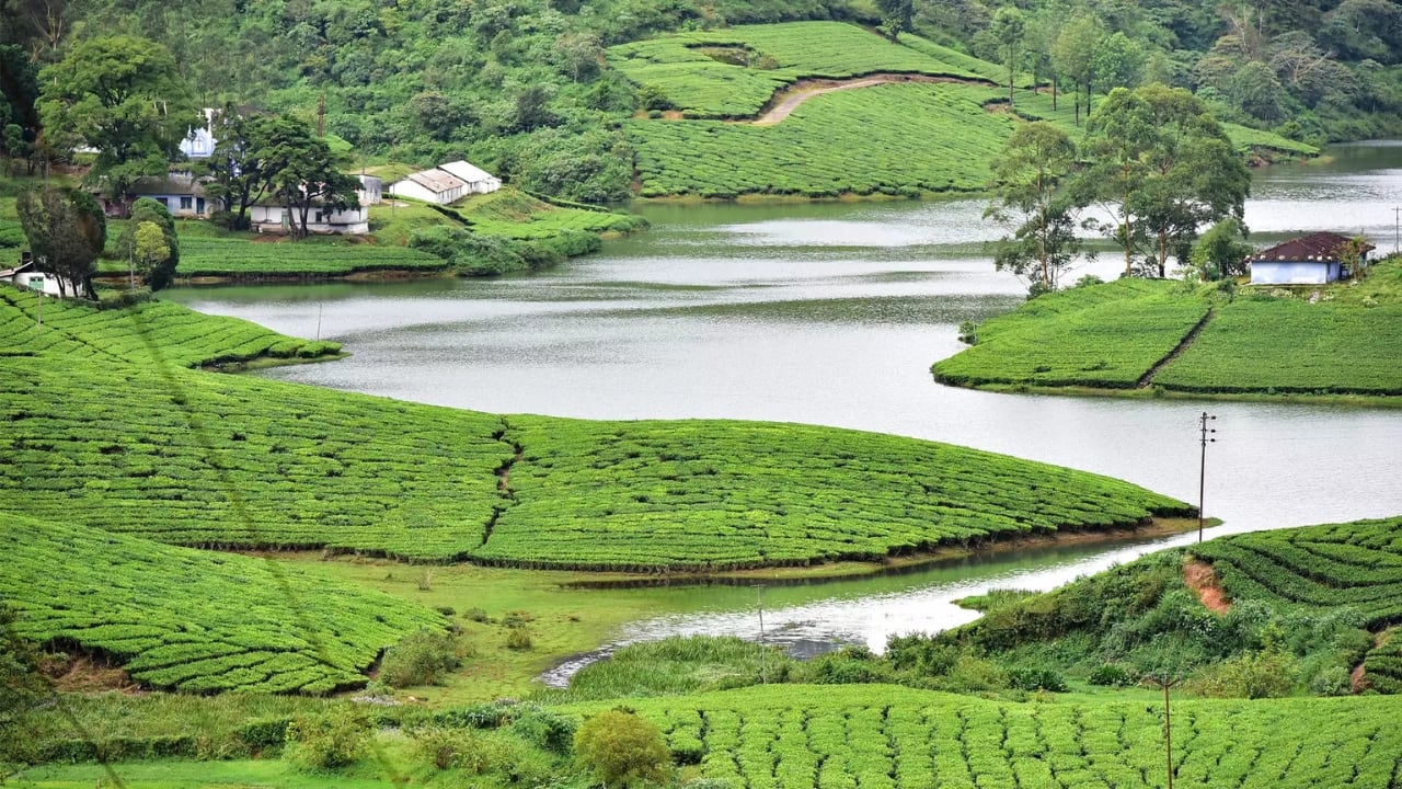 Meghamalai: Tamil Nadu’s Best-Kept Secret Hidden High in the Western Ghats