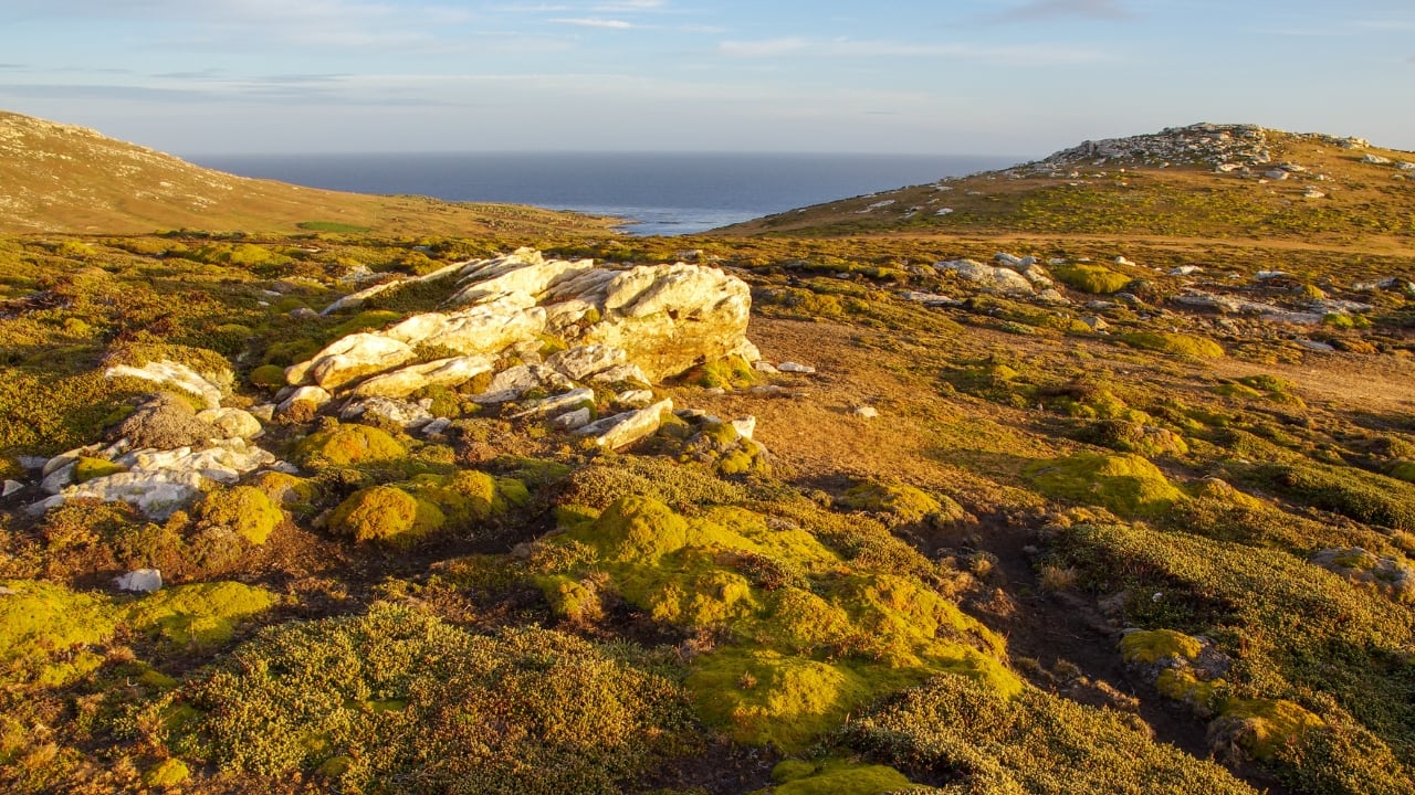 10 reasons to visit Falkland Islands - the penguin capital of the world ...