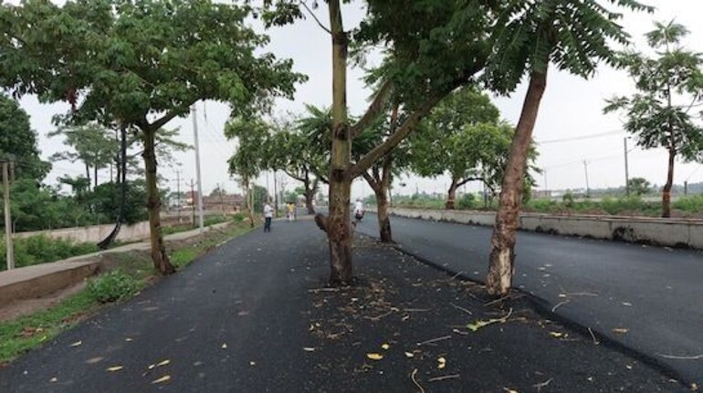 Bihar’s Rs 100 crore highway project leaves trees standing tall in ...
