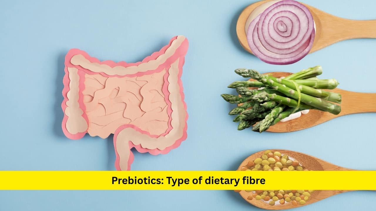 Diet tips: Best prebiotic foods in daily diet to improve digestion ...