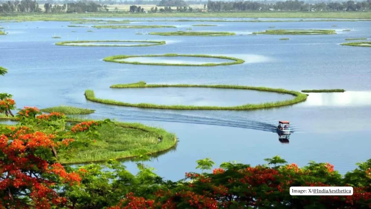 This national park in India floats on water – and it’s the only one of ...