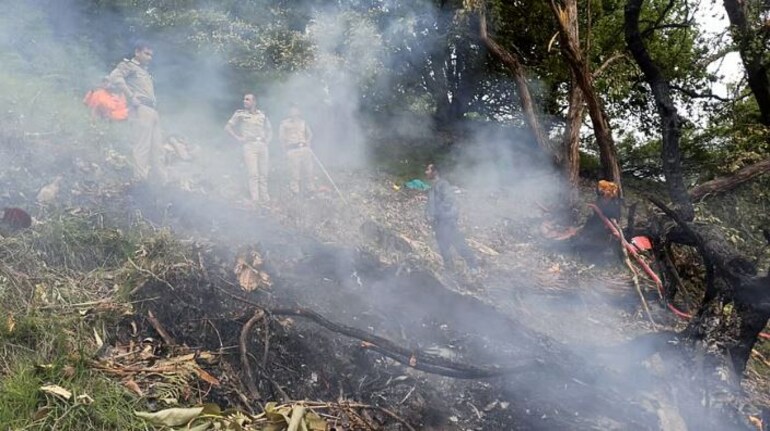 Uttarakhand chopper crash: AAIB says copter tumbled down hill after ...