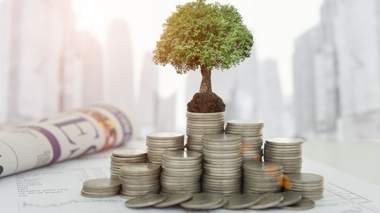 NPS investing: How to choose between auto and active choice?