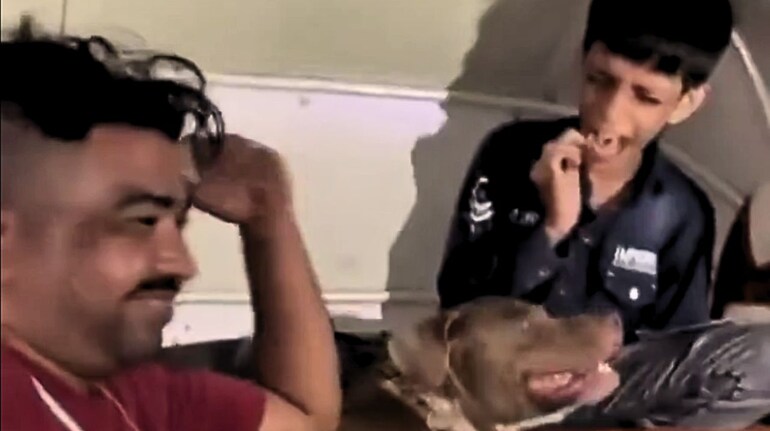 Mumbai Pitbull Attack: Pit bull attacks child inside Mumbai auto as ...