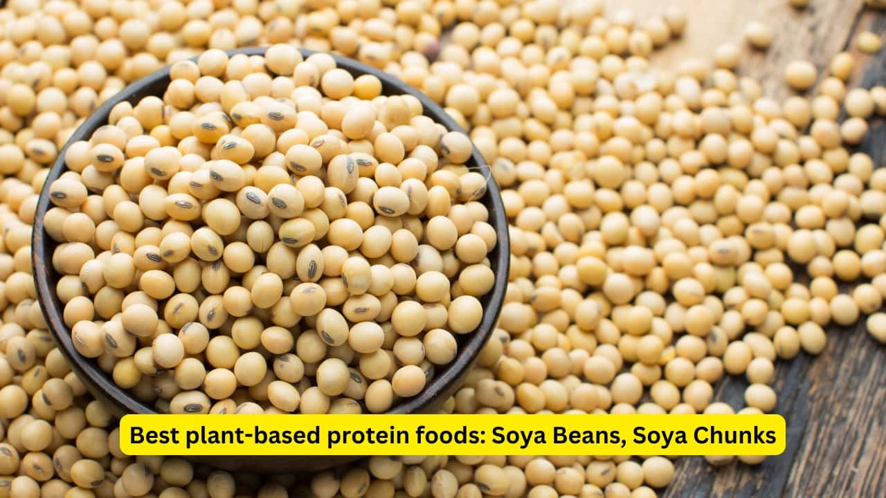 12 best plant-based protein-rich foods for vegetarians and vegans ...