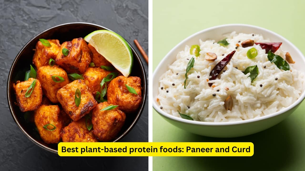 12 best plant-based protein-rich foods for vegetarians and vegans ...