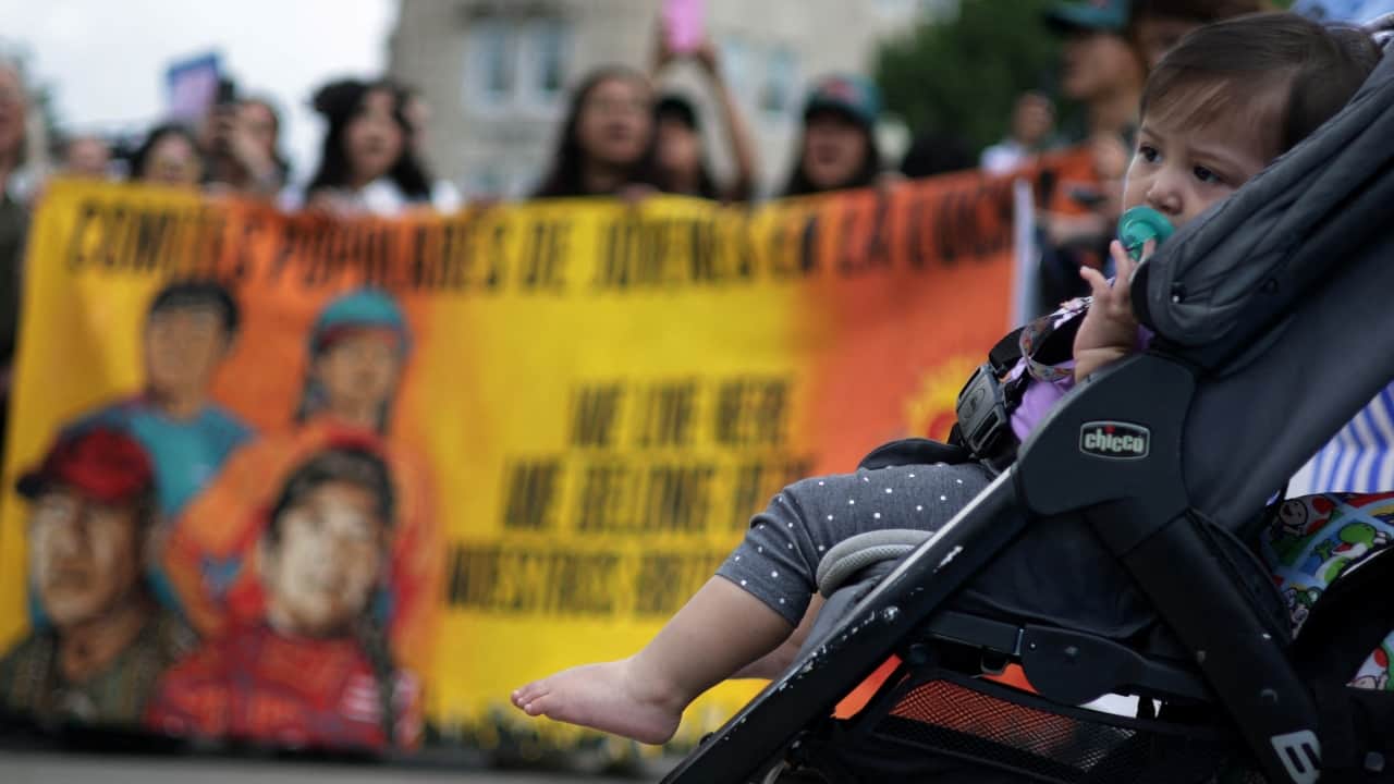 US plans to curb birthright citizenship: How Trump's move could hit ...
