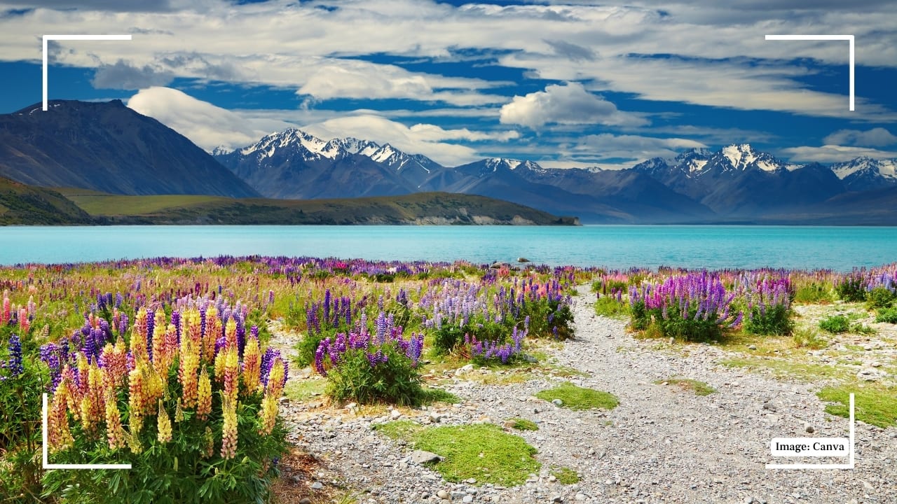 12 beautiful lakes with mountain backdrops that look like nature’s ...