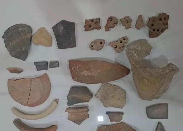 Harappan site unearthed in Rajasthan's Thar