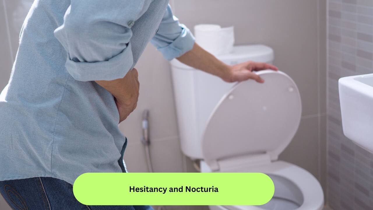 A 10 step guide in understanding the prostate gland in aging males ...