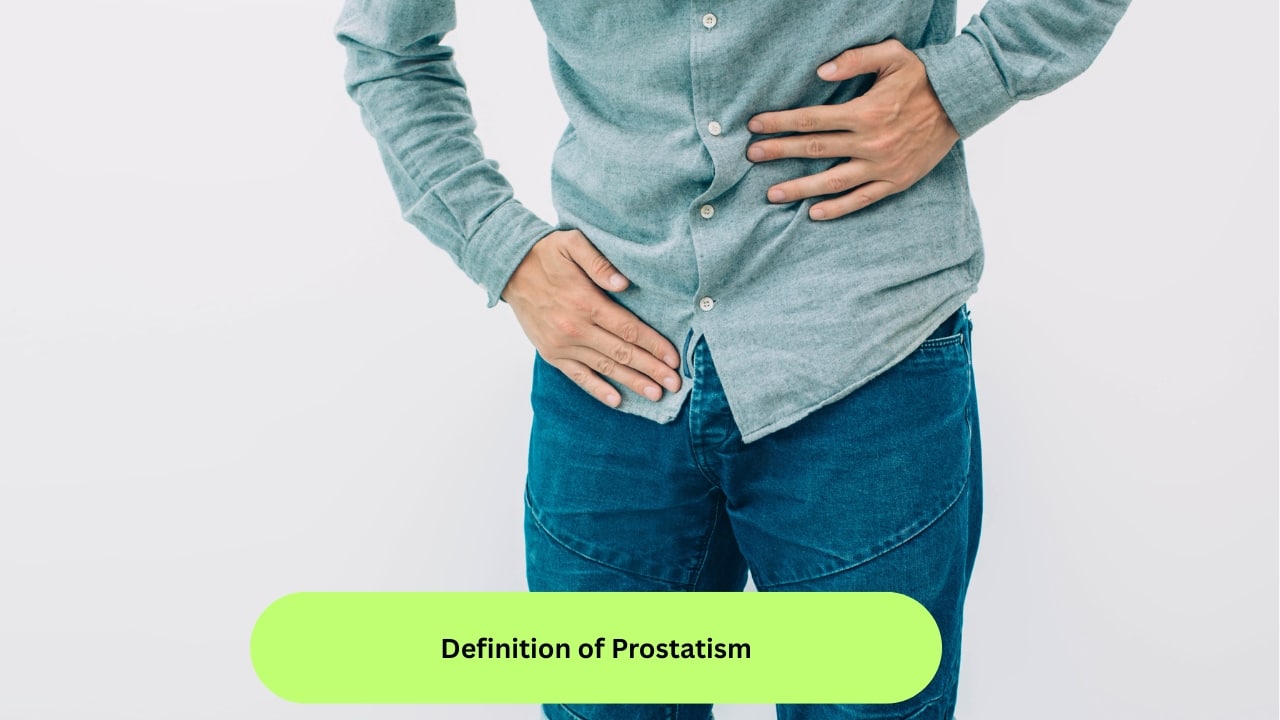 A 10 step guide in understanding the prostate gland in aging males ...