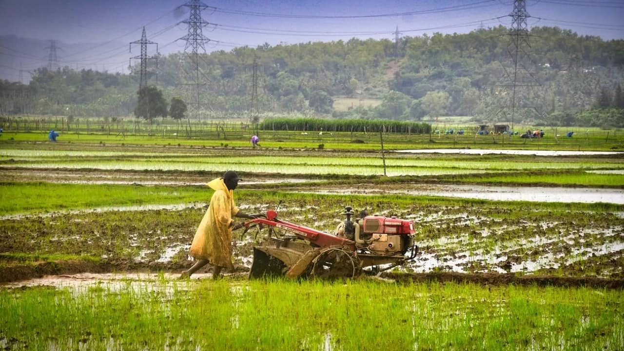 'More than 8 lakh farmers to benefit in Uttarakhand': CM Dhami ...