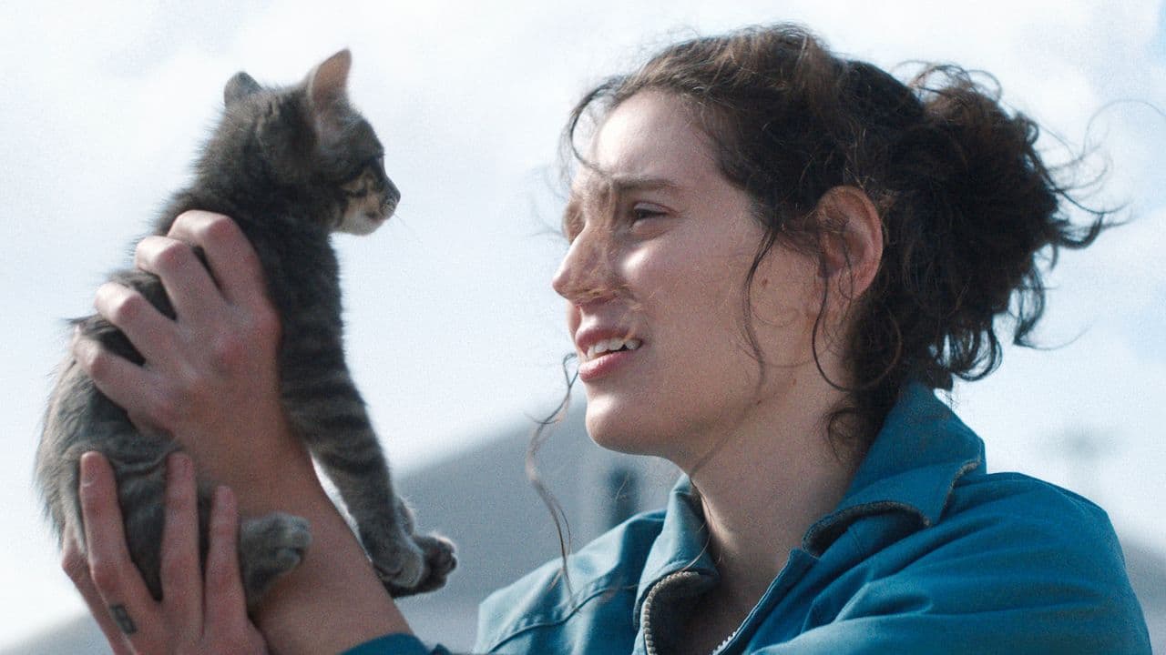 Sorry Baby Movie Review: This film balances sadness and wit with a ...