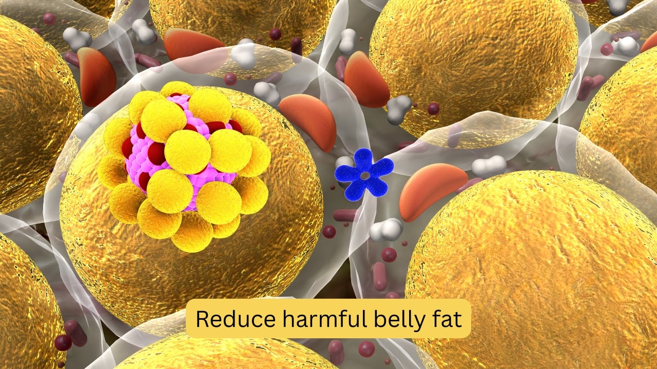 7 simple reasons why you should stop eating high-fat sugary snacks