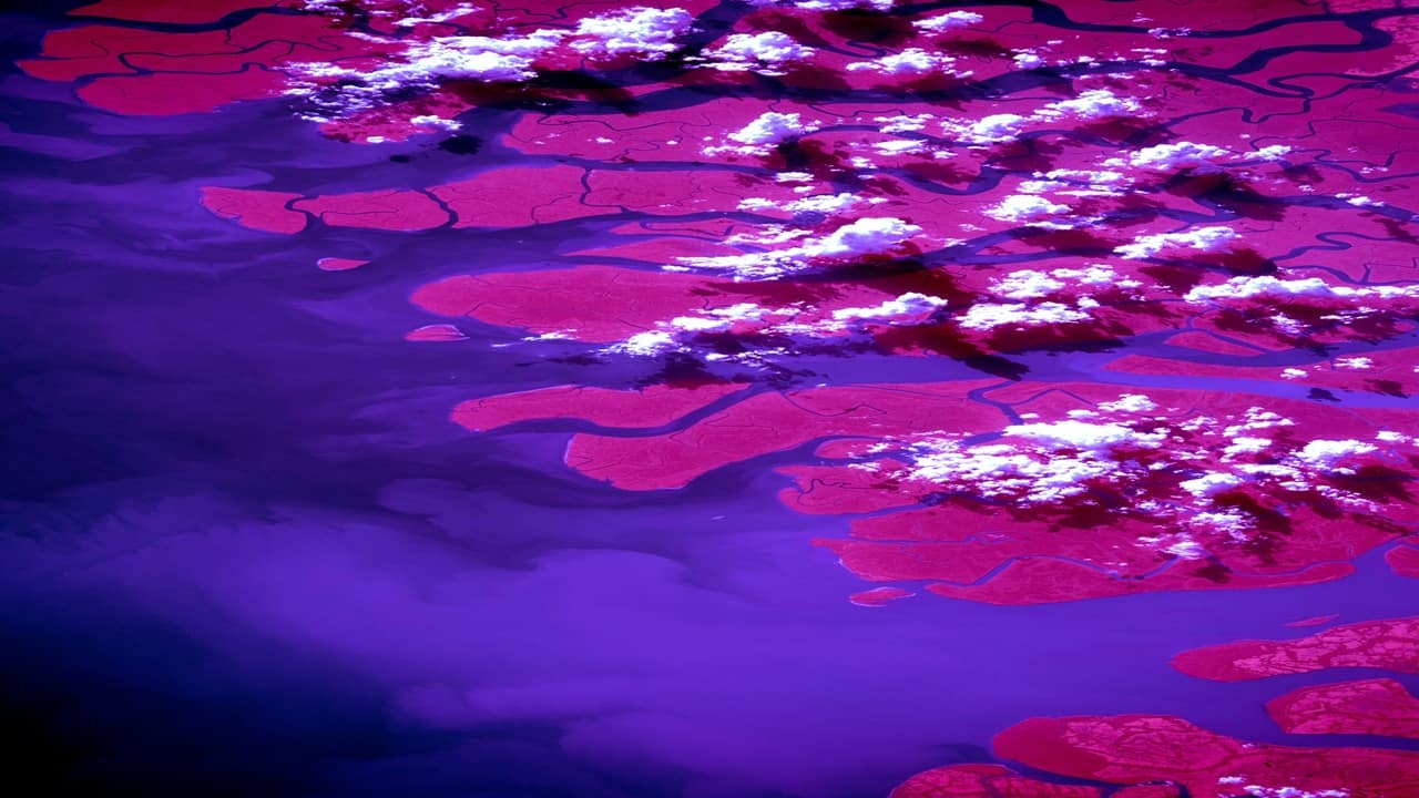 NASA astronaut captures stunning near-infrared image of Ganges River ...