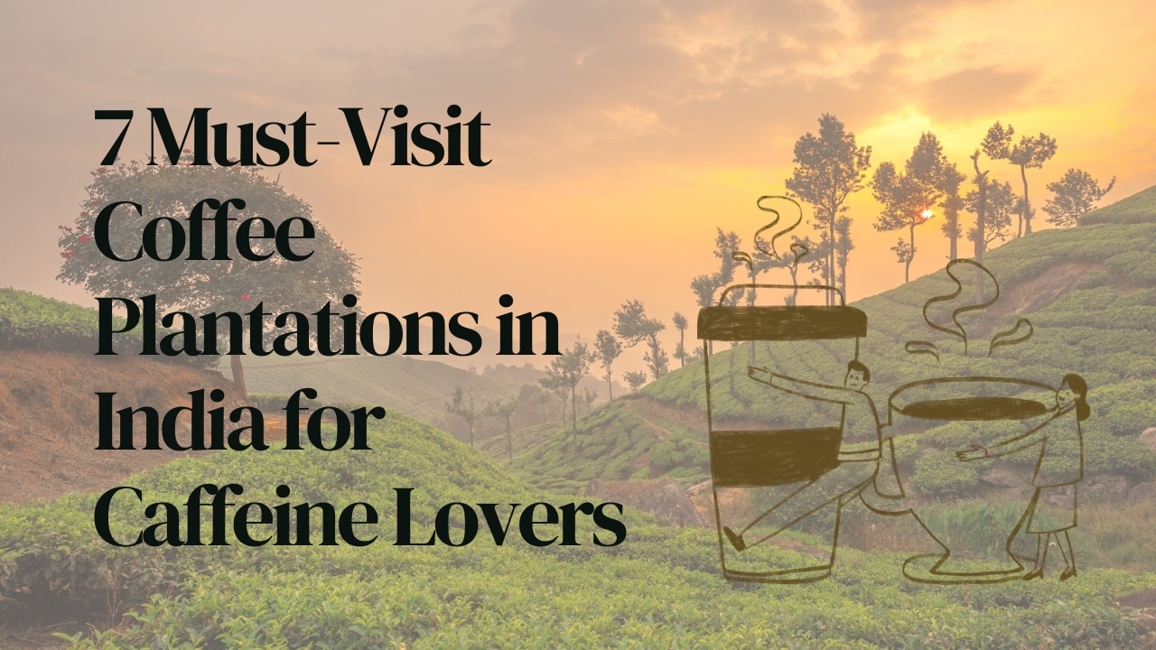 7 Must-Visit Coffee Plantations in India for Caffeine Lovers ...