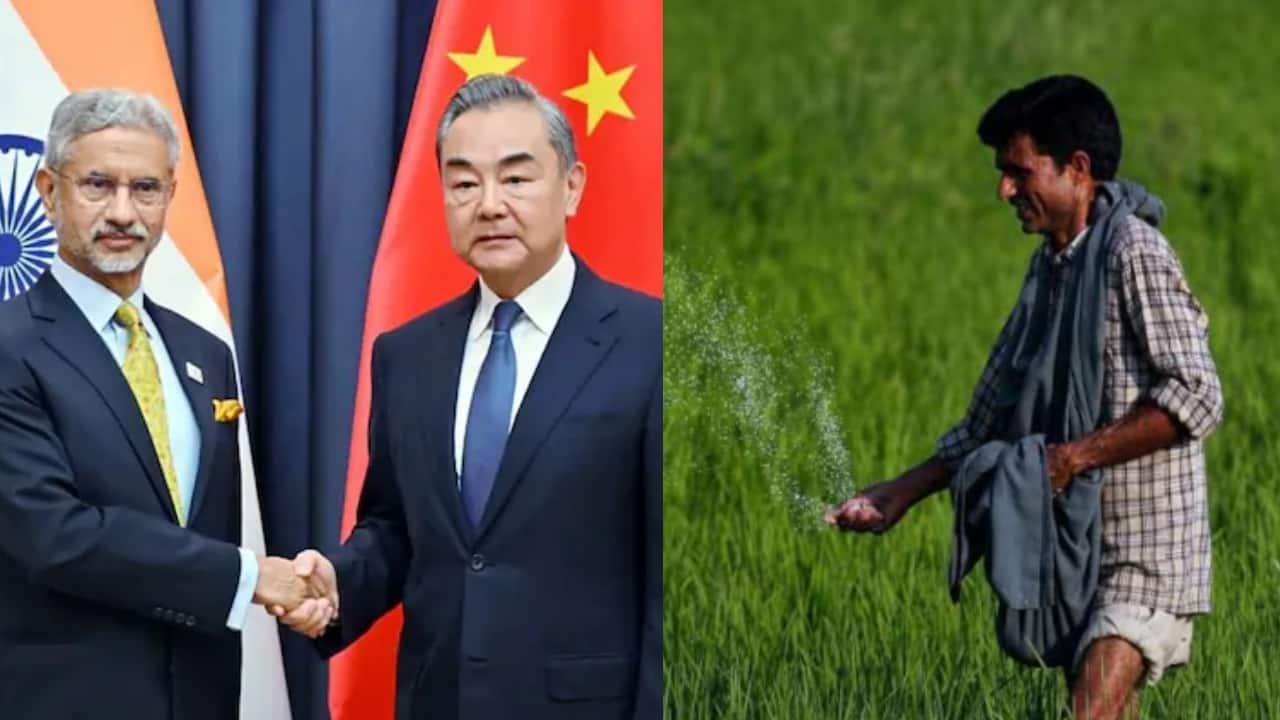 FACT, RCF, Agro Phos shares rise up to 5% as China may lift curbs on ...
