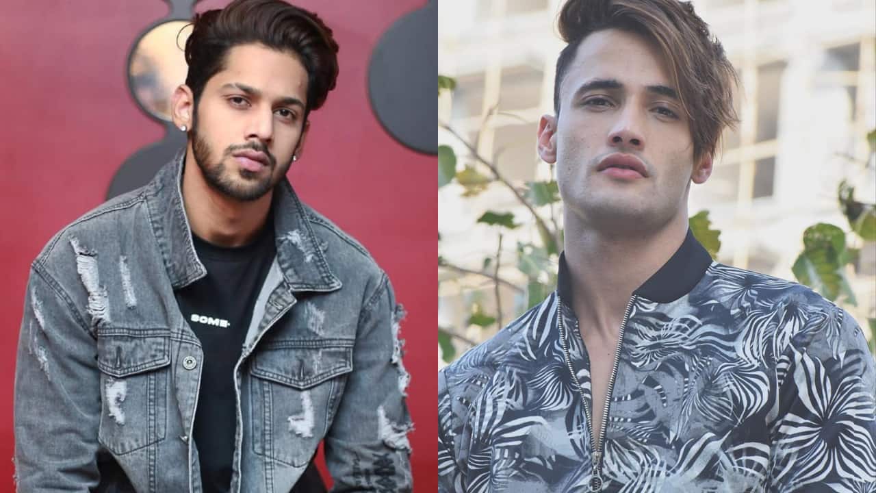 Bigg Boss 19: Baseer Ali calls Asim Riaz his favourite, says ‘Big respect’