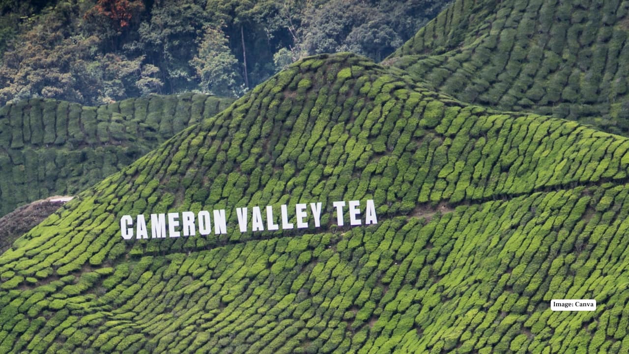 8 Best Rural Destinations in Asia for 2025—Wait Till You See the One in ...