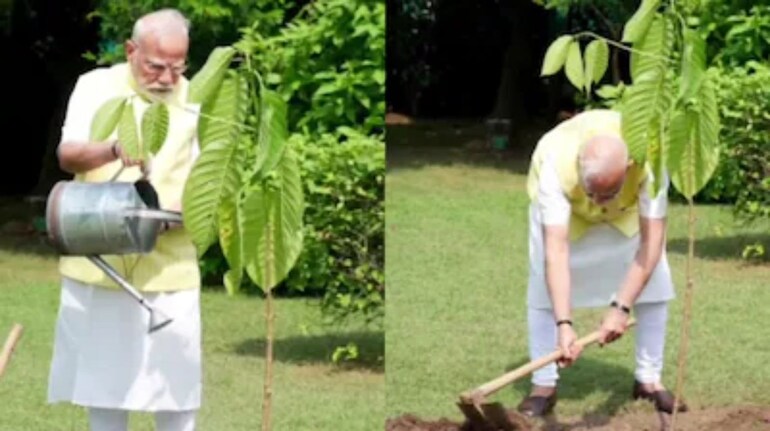 PM Modi plants Kadamb sapling gifted by King Charles at his official ...