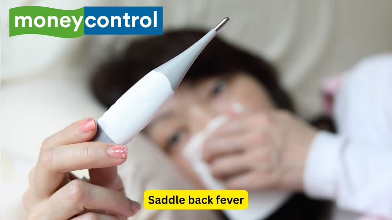 10 things about dengue: Causes, phases, and clinical features