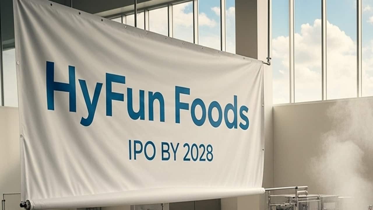 HyFun Foods plans IPO by 2028, aims Rs 1,500-crore revenue in FY26