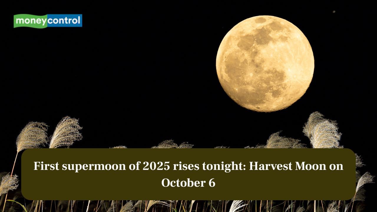First supermoon of 2025 rises tonight: Know when, where, and how to ...