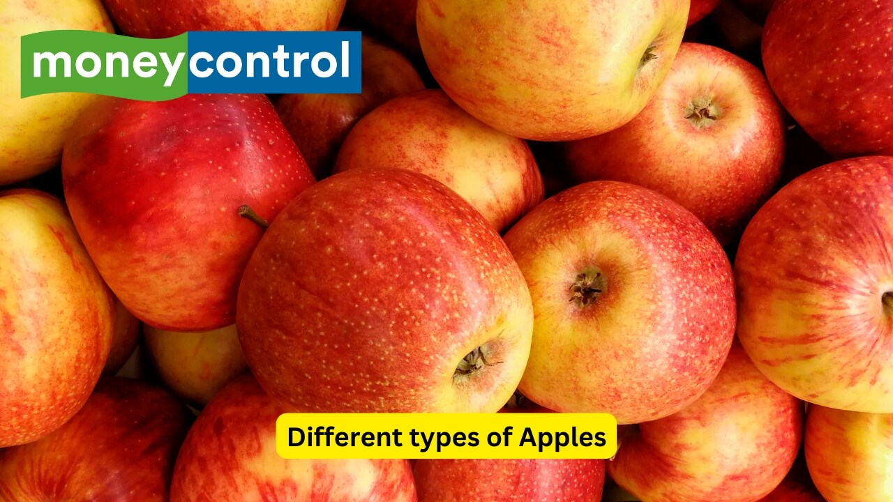 11 popular apple varieties and how they differ in taste and texture ...